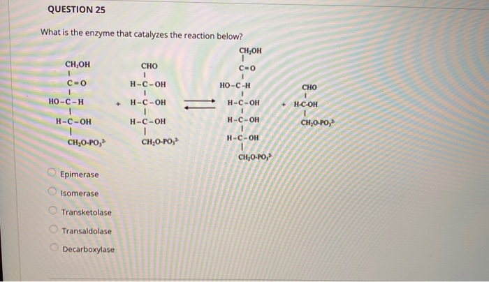 Solved QUESTION 24 A glycogen sample from a patient with | Chegg.com