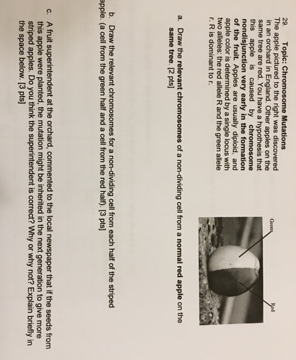 Solved Bed 29. Topic: Chromosome Mutations The apple | Chegg.com