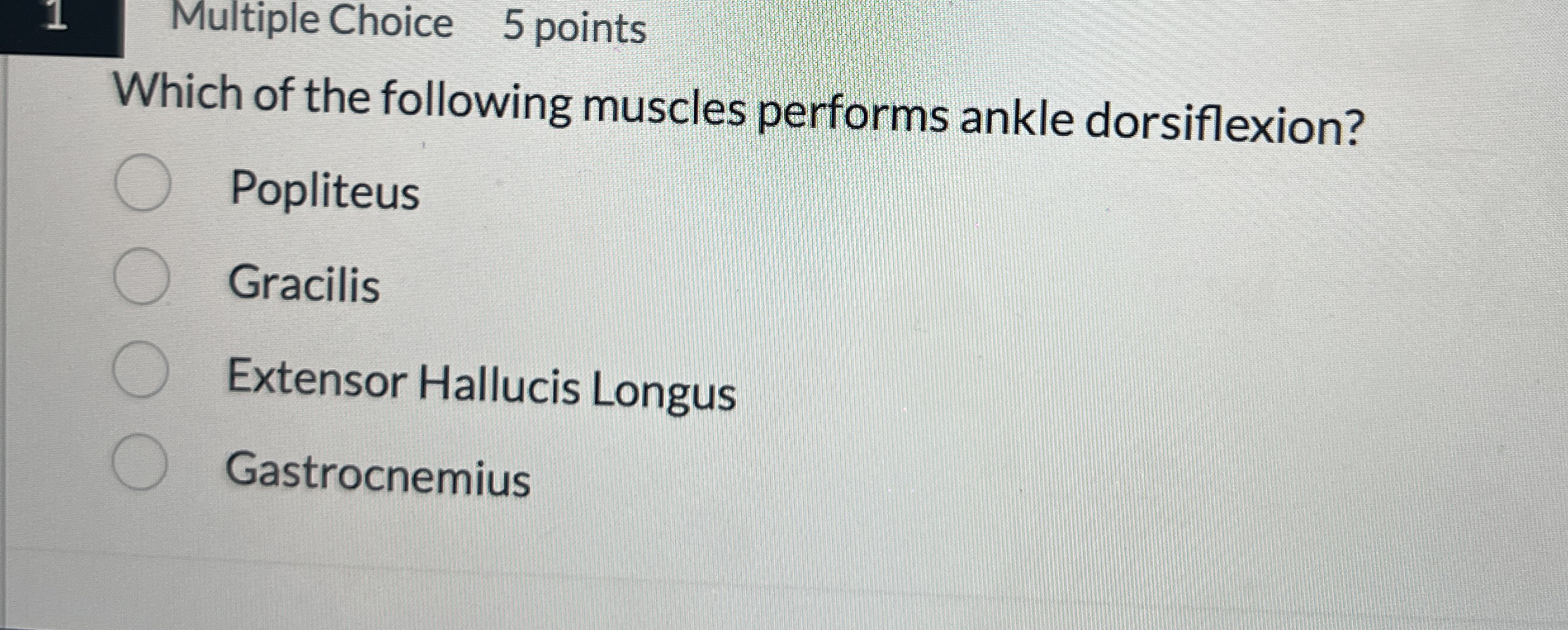 Solved 1Multiple Choice 5 pointsWhich of the following | Chegg.com Solved 1Multiple Choice 5 pointsWhich of the following | Chegg.com