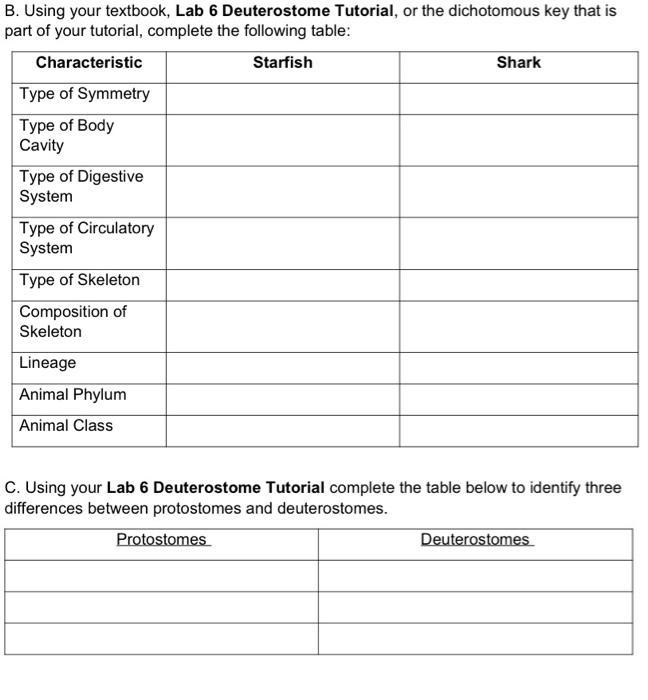 Solved B. Using your textbook, Lab 6 Deuterostome Tutorial, | Chegg.com