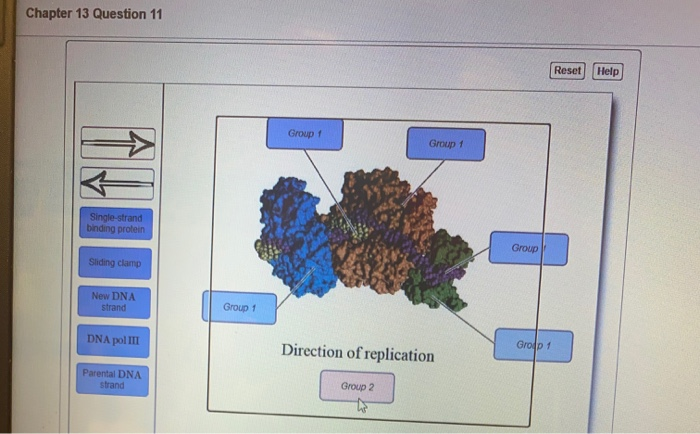 Solved Chapter 13 Question 11 Reset Help Group 1 Group 1 AL | Chegg.com