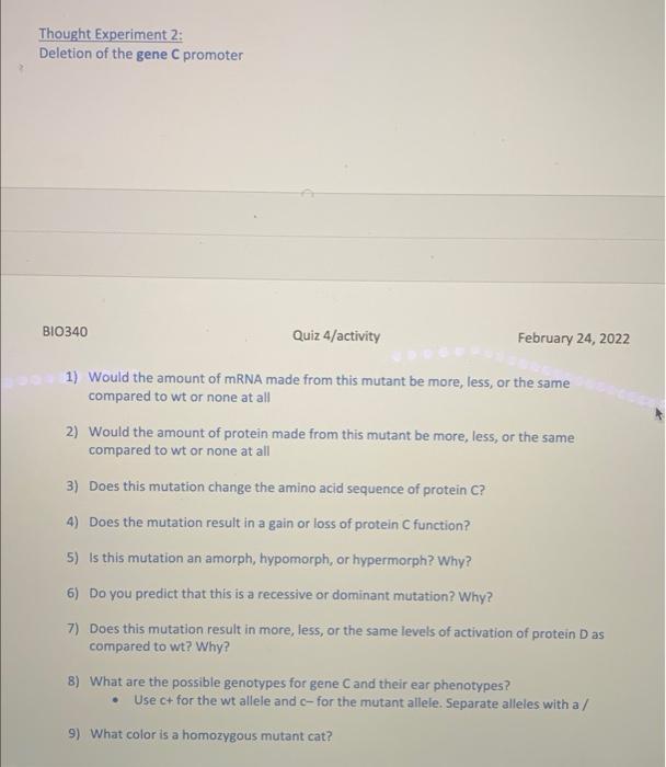 Solved Thought Experiment 1: A single nucleotide insertion | Chegg.com