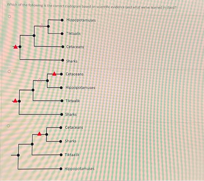 Solved Dolphins and sharks share a similar body shape, | Chegg.com
