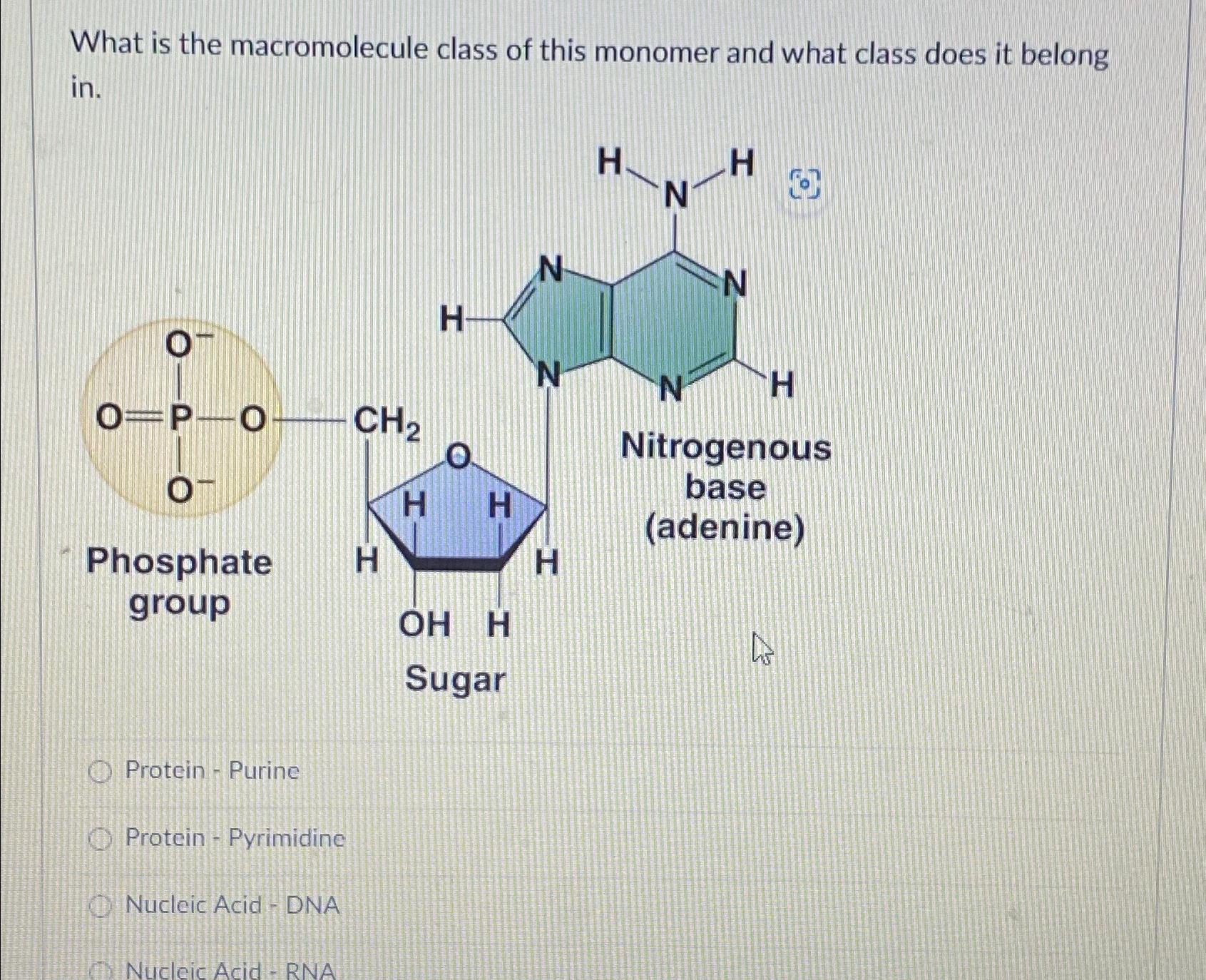 Solved What is the macromolecule class of this monomer and | Chegg.com