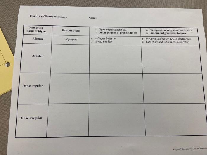 Solved Epithelial Tissues Worksheet Connective Tissues | Chegg.com