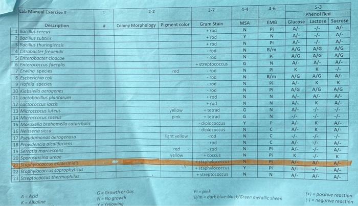 Solved \begin{tabular}{|c|c|c|c|c|c|c|c|c|c|c|c|} \hline | Chegg.com