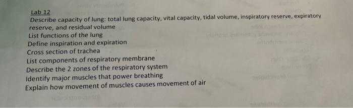 Solved Lab 12 Describe capacity of lung: total lung | Chegg.com