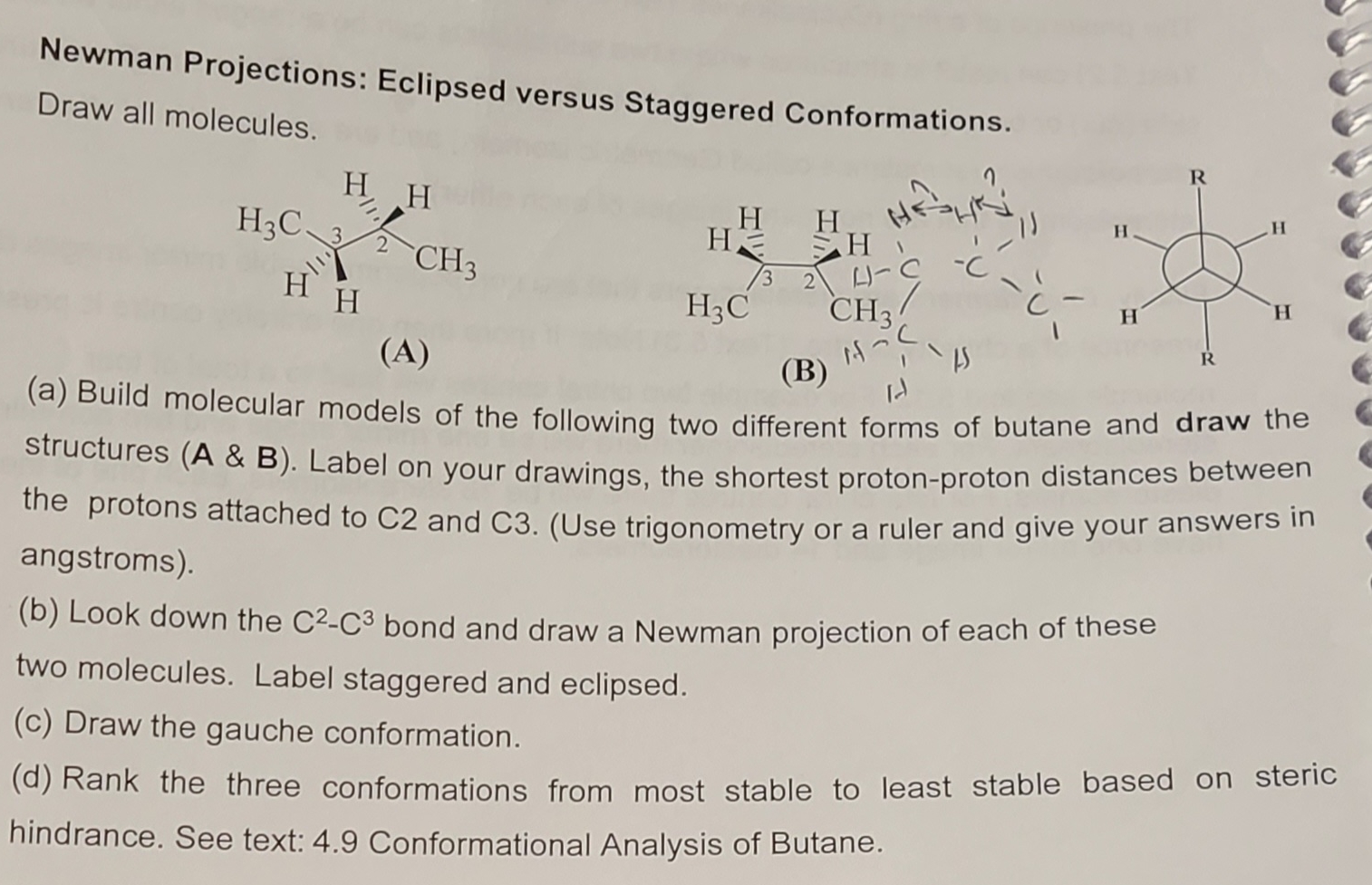 Solved Newman Projections: Eclipsed versus Staggered | Chegg.com