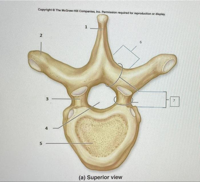 Solved Copyright © The McGraw-Hill Companies, Inc. | Chegg.com