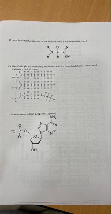 Solved (21) A bifler Alare all atst waply a. Can alsiort an | Chegg.com