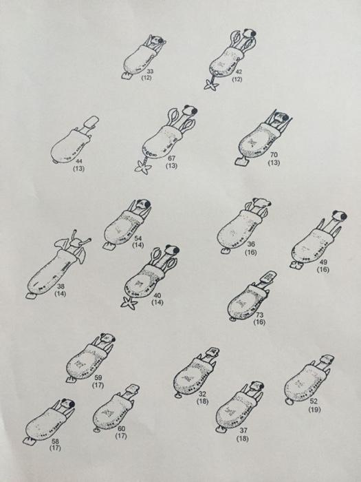 Exercise 4. Fossil Reconstruction of Caminalcules | Chegg.com