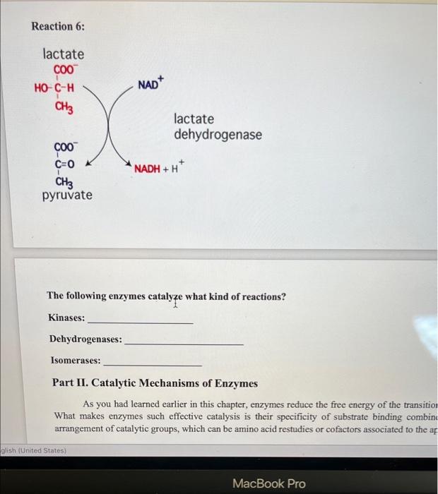 Solved Chapter 11 - Enzyme Classification Part I. Enzyme | Chegg.com