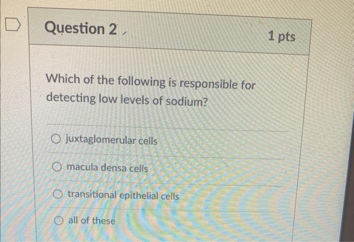 Solved Which of the following is responsible for detecting | Chegg.com