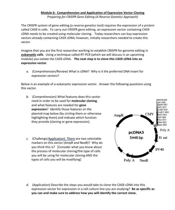 Solved Module 6: Comprehension and Application of Expression | Chegg.com