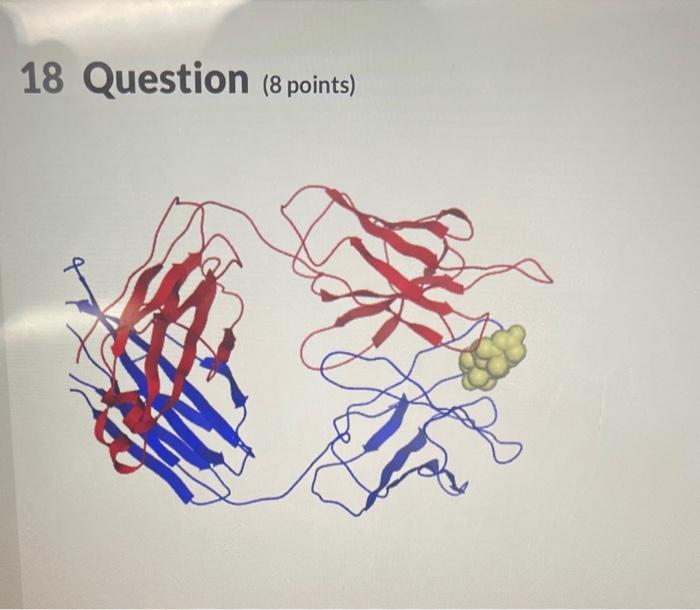 Solved 18 Question (8 points)How many β strands are present | Chegg.com