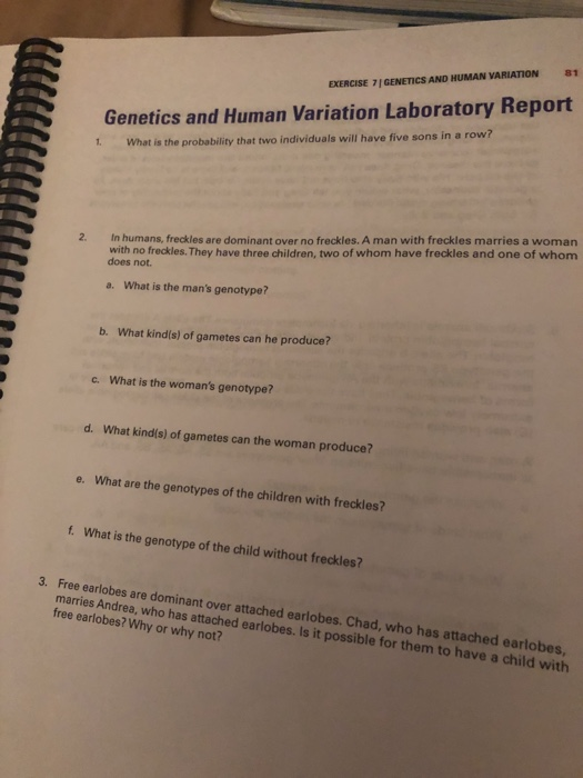 Solved 81 EXERCISE 7 GENETICS AND HUMAN VARIATION Genetics | Chegg.com