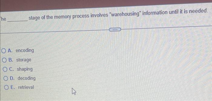 Solved Analogous to a computer, memory is working memory; it | Chegg.com