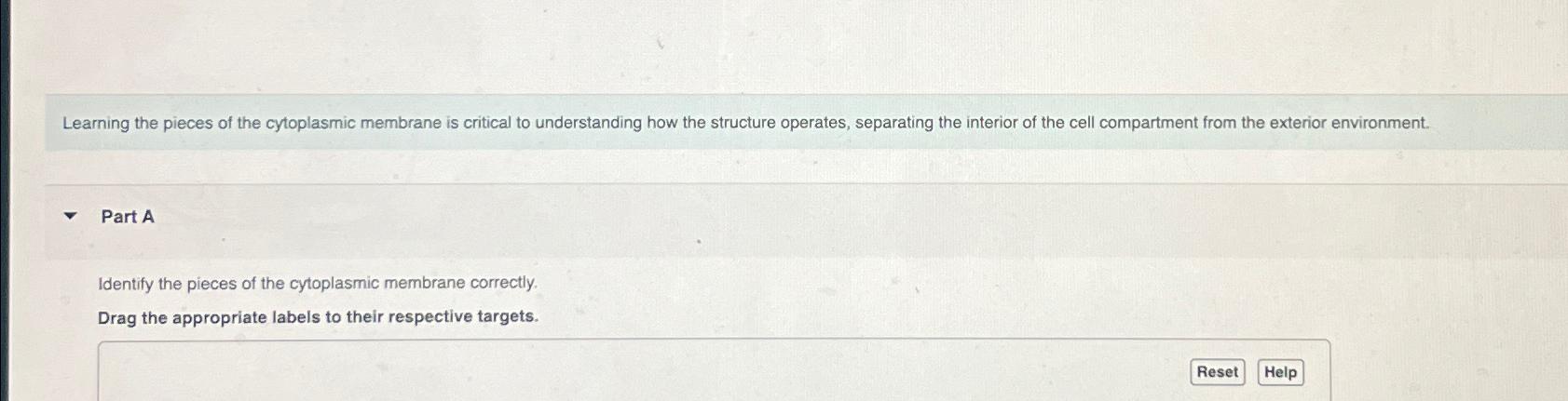 Solved Learning the pieces of the cytoplasmic membrane is | Chegg.com