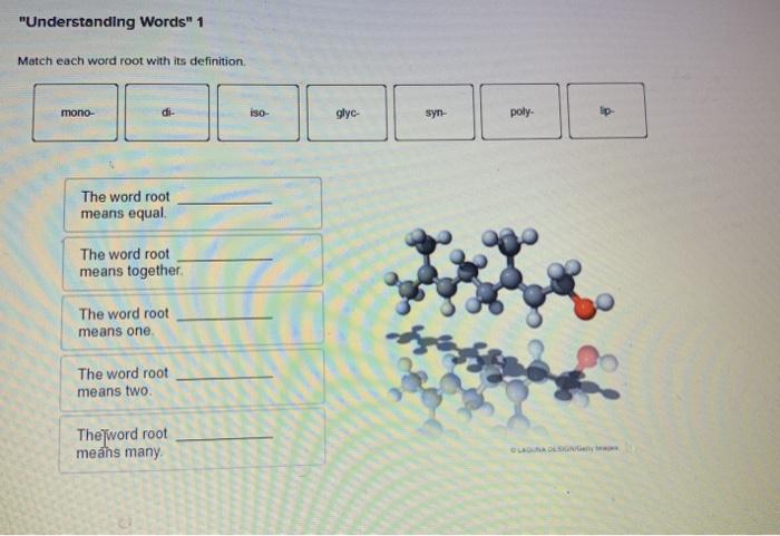 Solved "Understanding Words" 1 Match each word root with its | Chegg.com