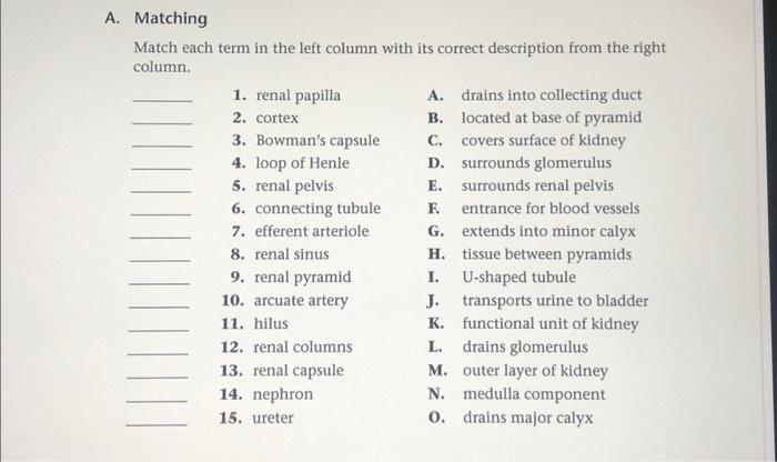 Solved Match each term in the left column with its correct | Chegg.com