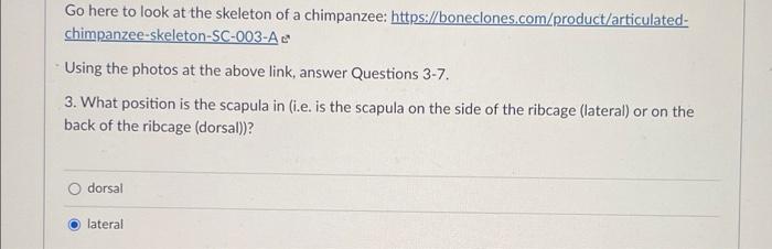 Solved Go here to look at the skeleton of a chimpanzee: | Chegg.com
