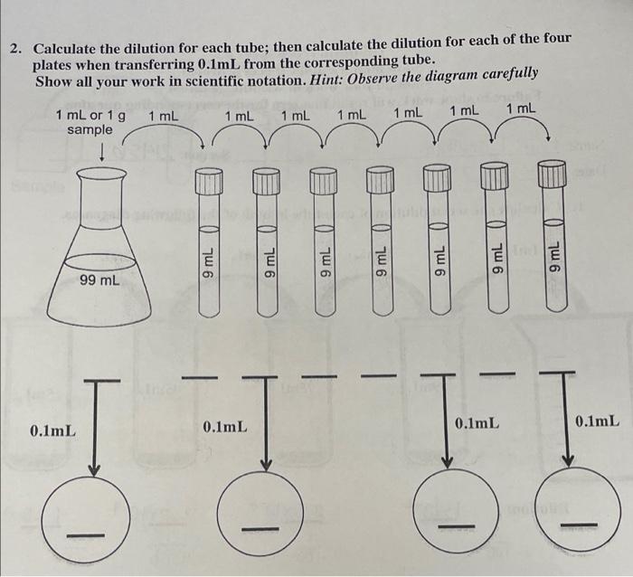 Solved 2. Calculate the dilution for each tube; then | Chegg.com