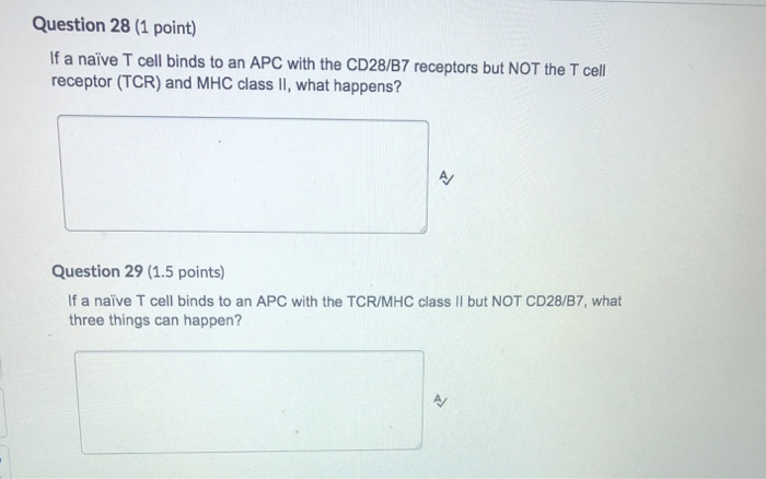 Solved Question 28 (1 point) If a naive T cell binds to an | Chegg.com