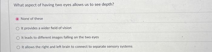 Solved What aspect of having two eyes allows us to see | Chegg.com