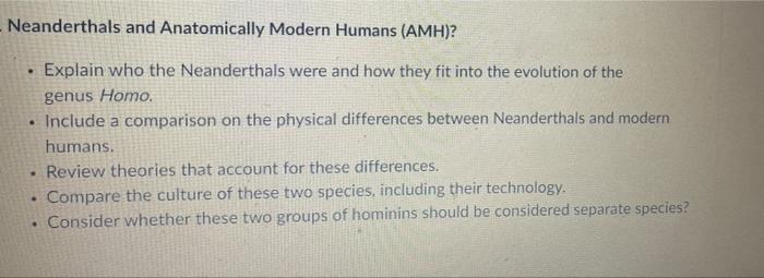 Solved Neanderthals and Anatomically Modern Humans (AMH)? . | Chegg.com