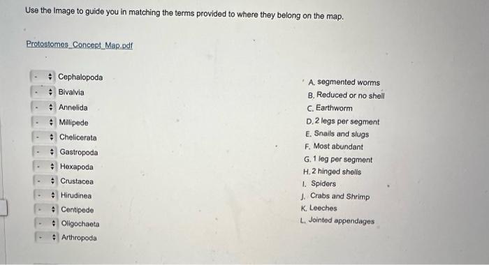 Use the Image to guide you in matching the terms | Chegg.com