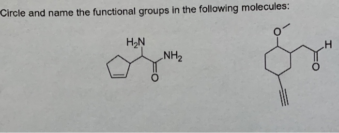 Solved Circle and name the functional groups in the | Chegg.com