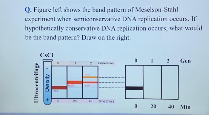 Solved Q. Figure left shows the band pattern of | Chegg.com