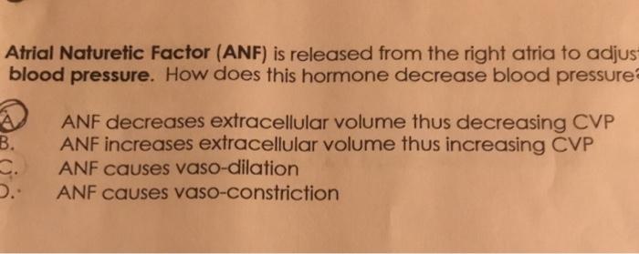 Solved Atrial Naturetic Factor (ANF) is released from the | Chegg.com