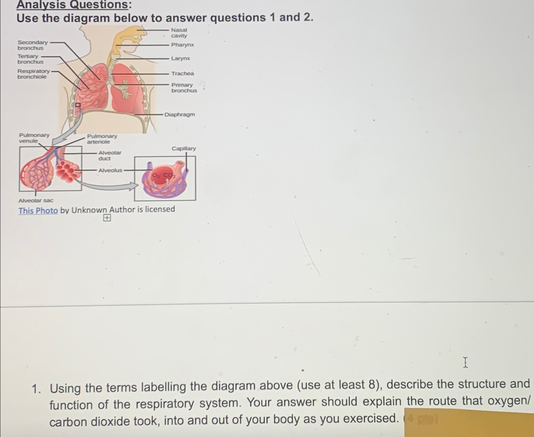 Solved Analysis Questions:Use the diaaram below to answer | Chegg.com