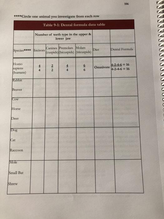 Solved Adaptation of teeth Begin by examining the human | Chegg.com