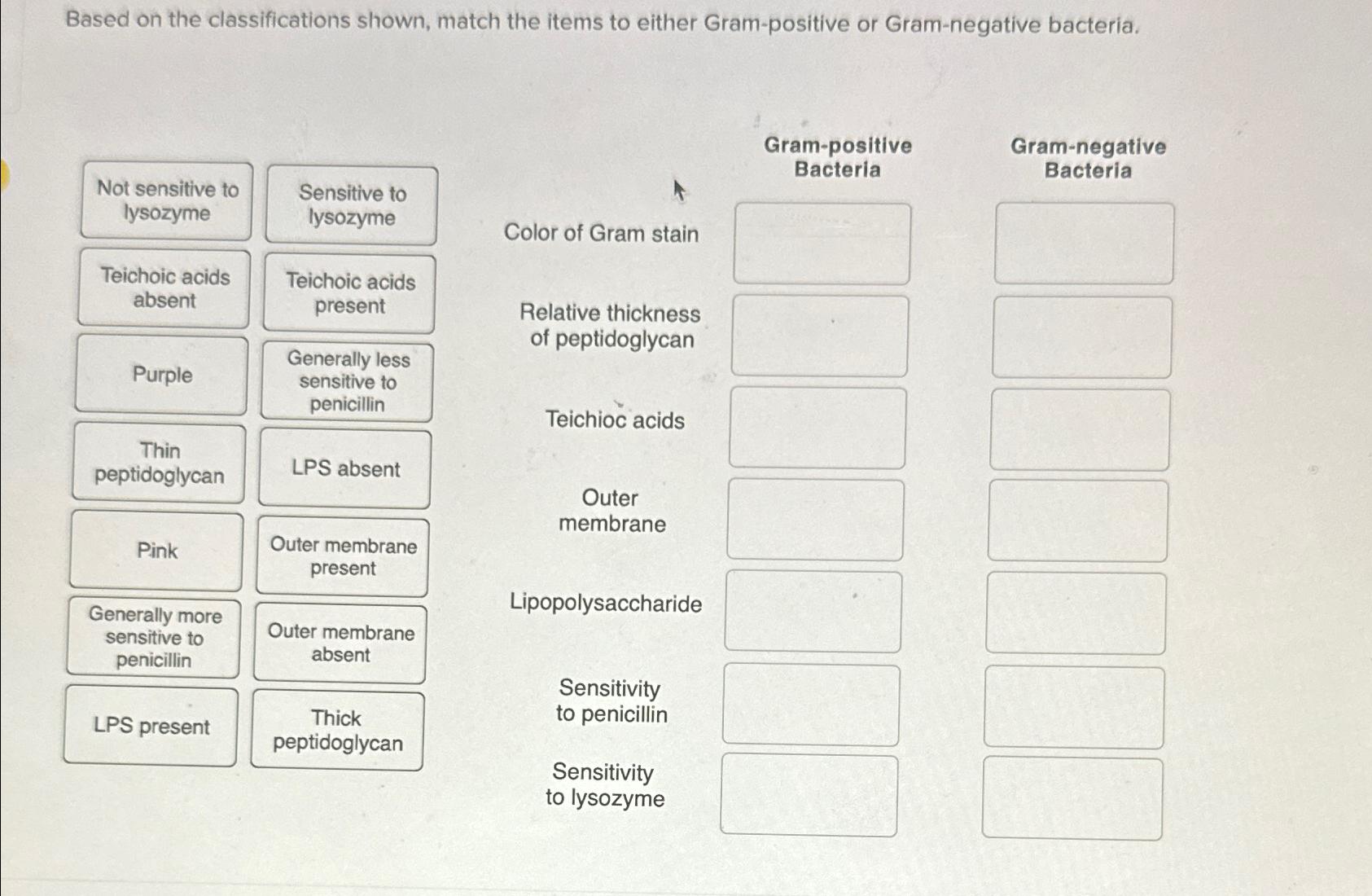 Solved Based on the classifications shown, match the items | Chegg.com