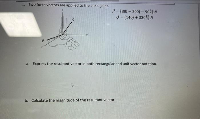 Solved Two force vectors are applied to the ankle joint. | Chegg.com