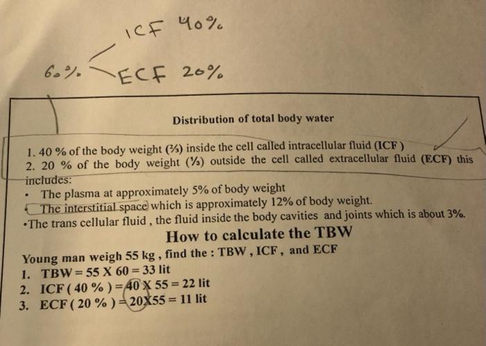 Solved The interstitial space means the interstitial fluid | Chegg.com