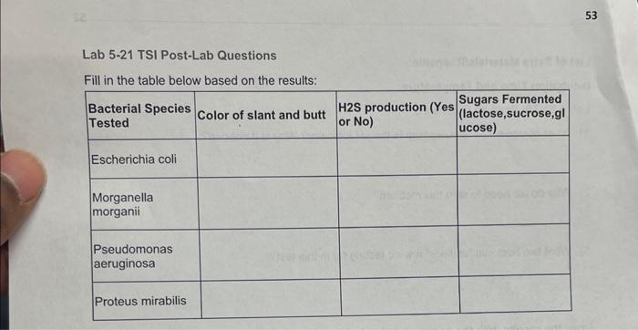 Solved Lab 5-21 TSI Post-Lab Questions Fill in the table | Chegg.com