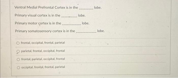 Solved Ventral Medial Prefrontal Cortex is in the lobe. | Chegg.com