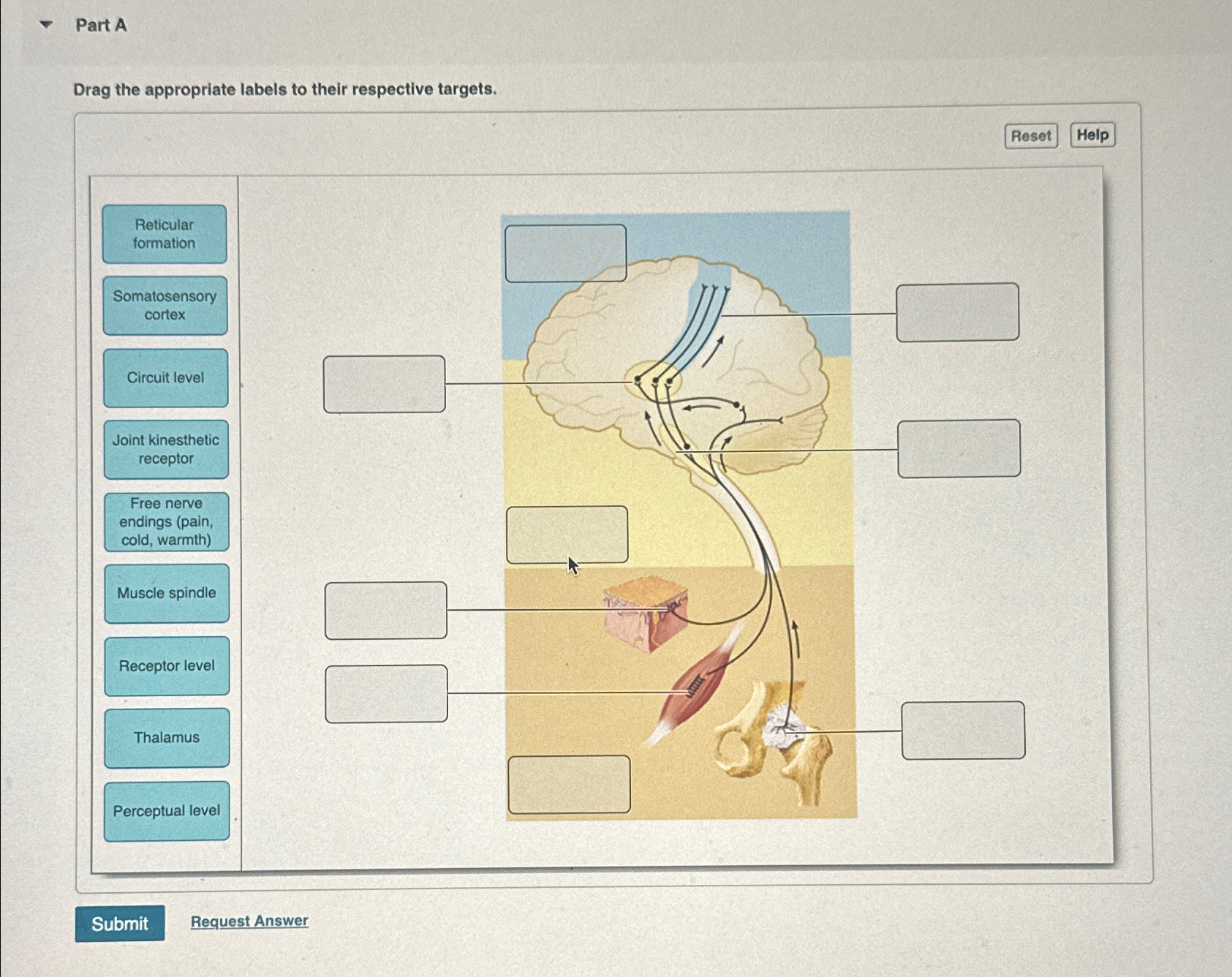 Solved Part ADrag the appropriate labels to their respective | Chegg.com
