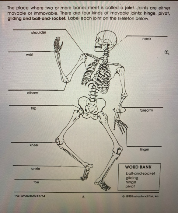 Pivot Joint Neck