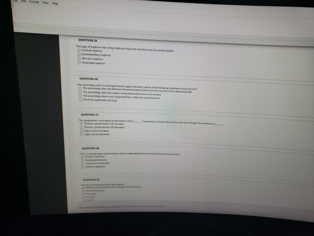 Solved Untitled - Notepad File Edit Format View Help | Chegg.com
