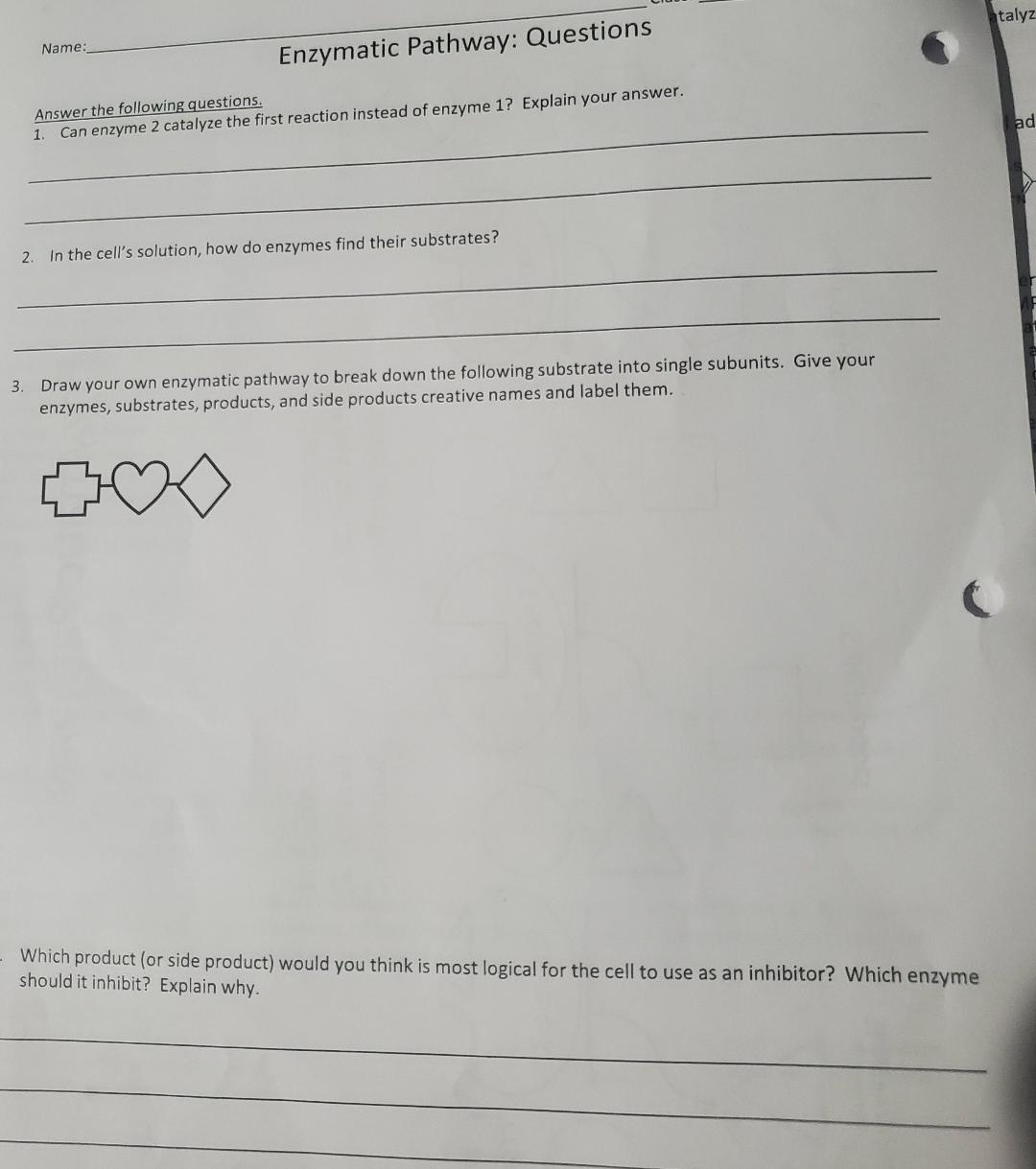 Solved Enzymatic Pathway Answer the following questions. 1. | Chegg.com