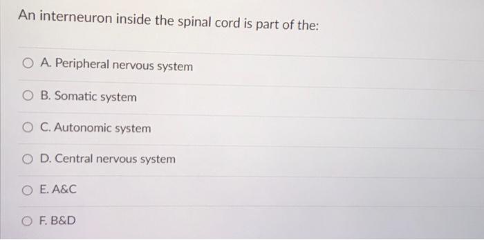 Solved An interneuron inside the spinal cord is part of the: | Chegg.com