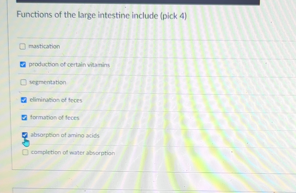 Solved Functions of the large intestine include (pick | Chegg.com
