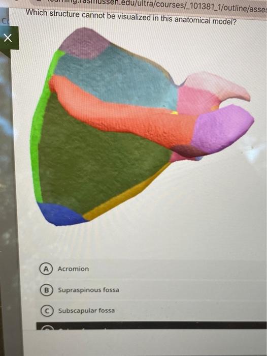 Solved .edu/ultra/courses/_101381_1/outline/asses Which | Chegg.com