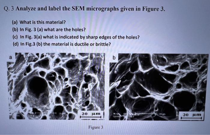 Solved Q. 3 Analyze and label the SEM micrographs given in | Chegg.com