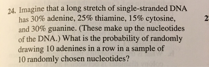 Solved 2 24. Imagine that a long stretch of single-stranded | Chegg.com