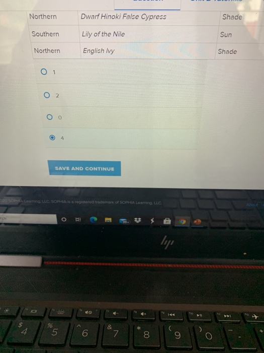 Solved Question Unit 2 Tutorials If you need help Question | Chegg.com